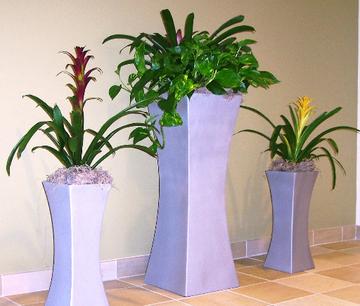 Custom Plant Design Gallery