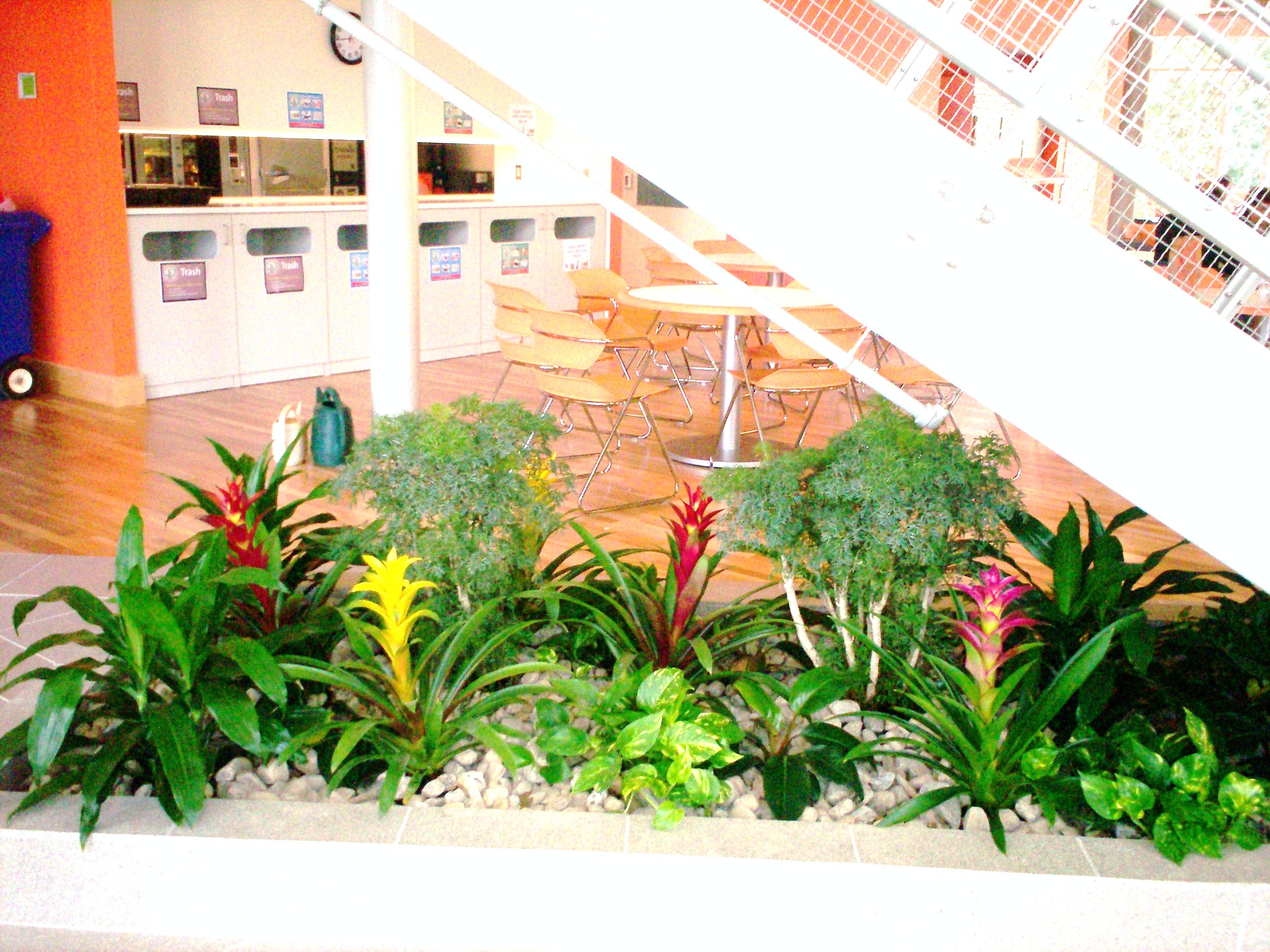 Custom Plant Design Gallery