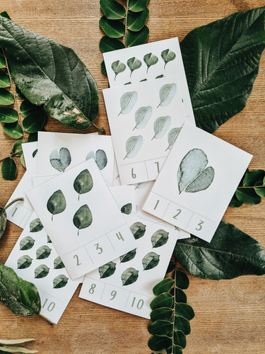 Eucalyptus Counting and Shape Cards | Thistles & Biscuits