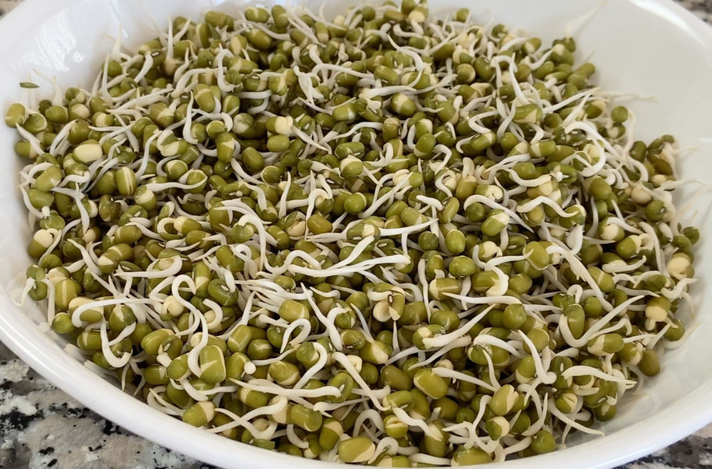 How to Sprout Moong Beans | Sprouting Moong Beans at Home