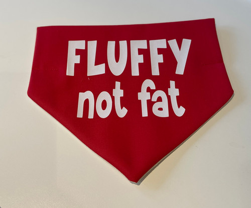 Fluffy Not Fat | Applelover53