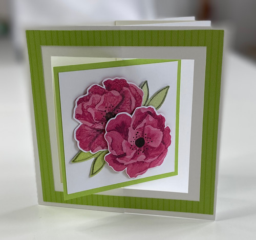 5" x 5" Swing Out Fun Fold Card | Applelover53