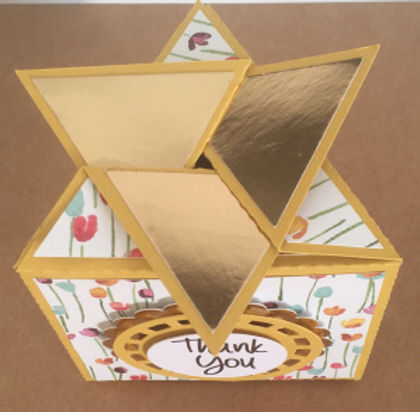 ScanNCut Star Top Box