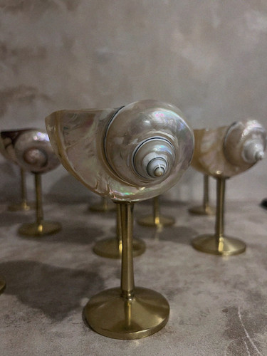 2 X SHELL GLASS LIMITED EDITION | shop