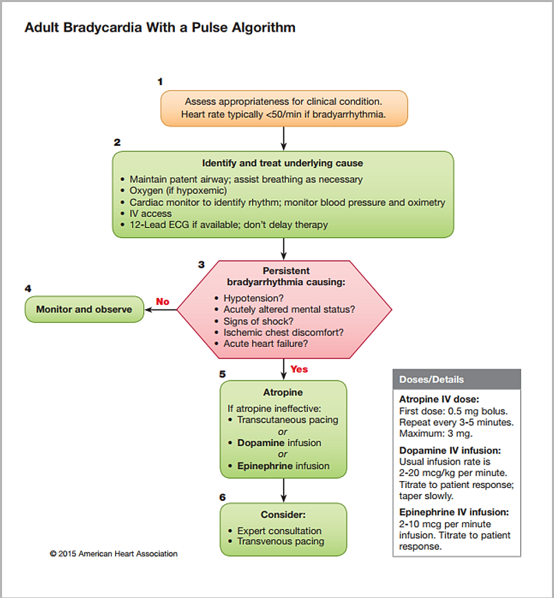 AHA ACLS Algorithms & Test Cheklists