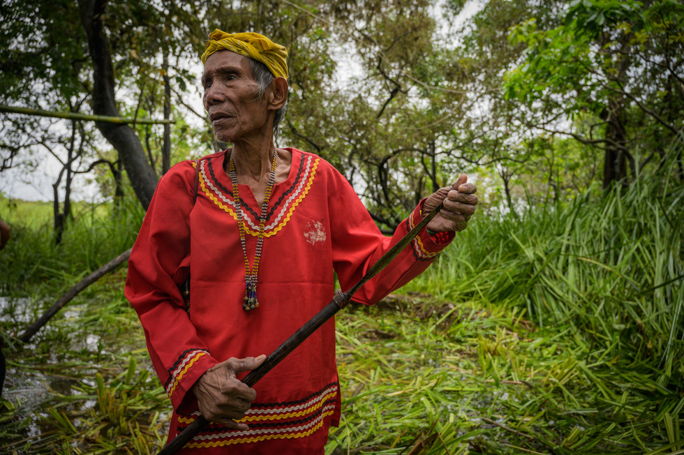 Guardians of the Marsh | Gab Mejia