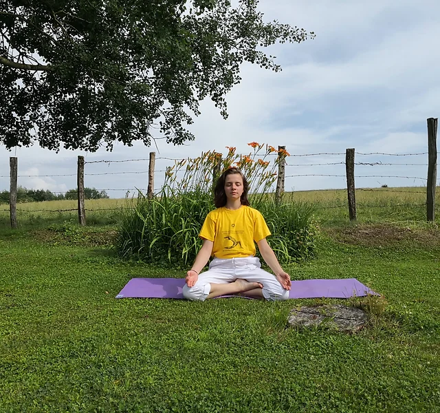 Cours | GoYam - Studio Zen