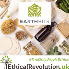 Top 10 Sustainability Blogs in 2022