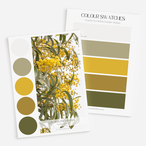 Colours of Australia: Golden Wattle #1 palette | AUSTRALIAN FLORA