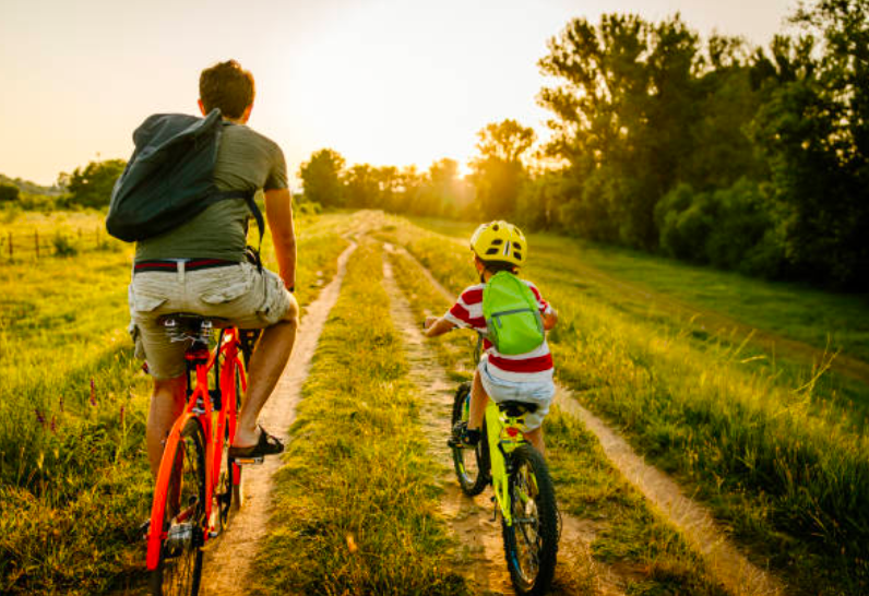 SHOP | Niche Bioceuticals