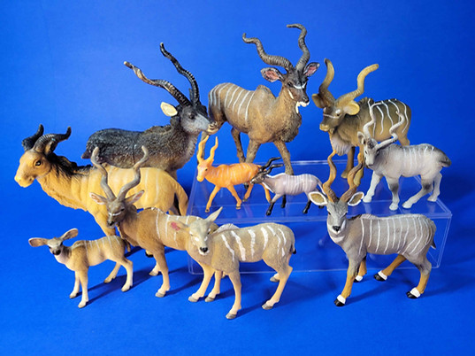 African Collection | Curious Compendium