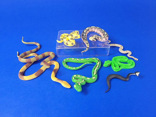 Reptilian Collection | Curious Compendium