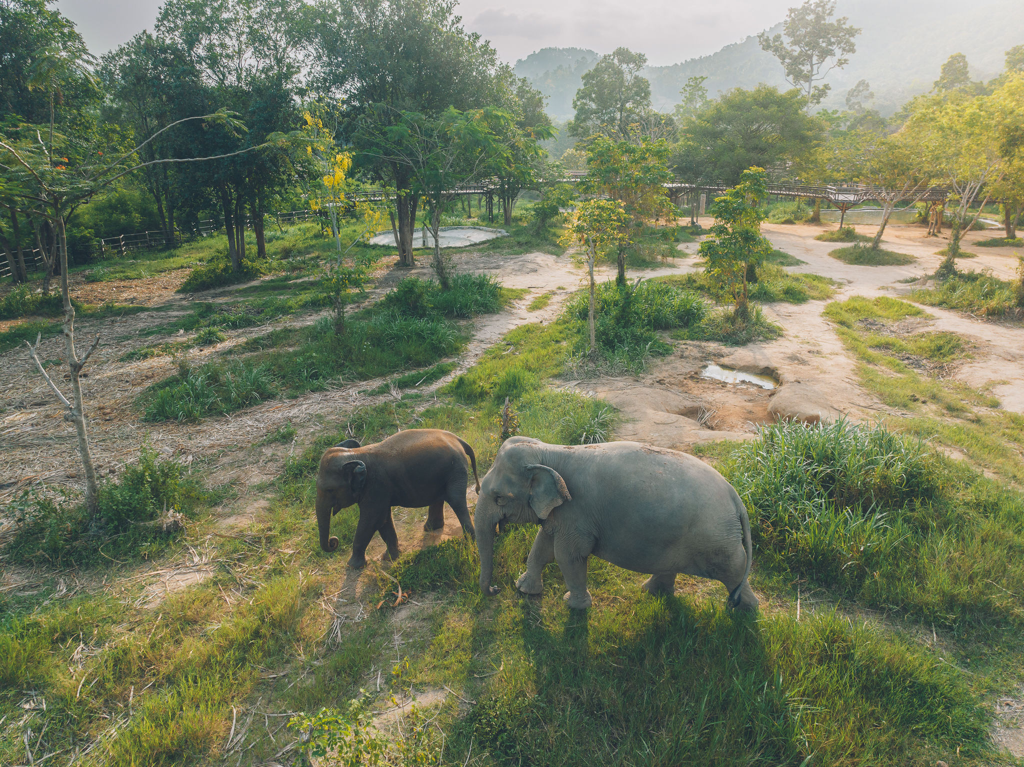 KINGDOM TOURS | Elephant Kingdom Sanctuary