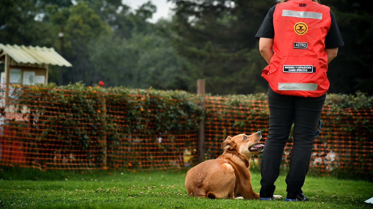 Centro Canino | Cruz Roja