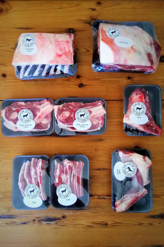 Yearling Lamb (Hogget) Fore Quarter pack | stirlingestate