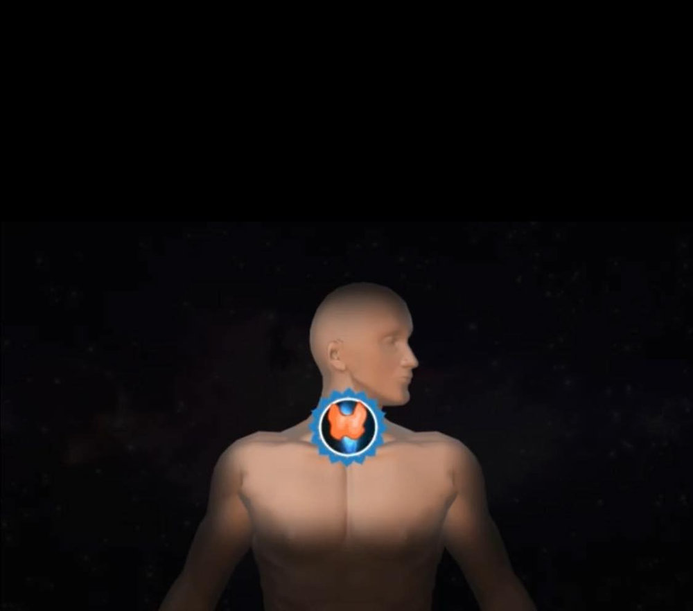 Thyroid and its Connection to the Throat Chakra