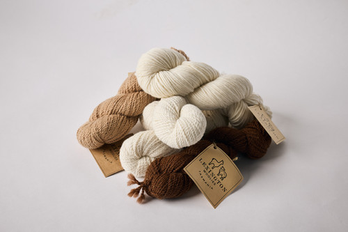 Sample yarn card | Lexington Woolies Ta