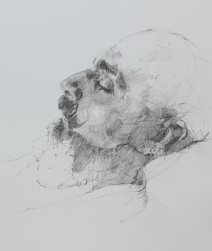 Erhan (limited edition print) | Wendy Barratt