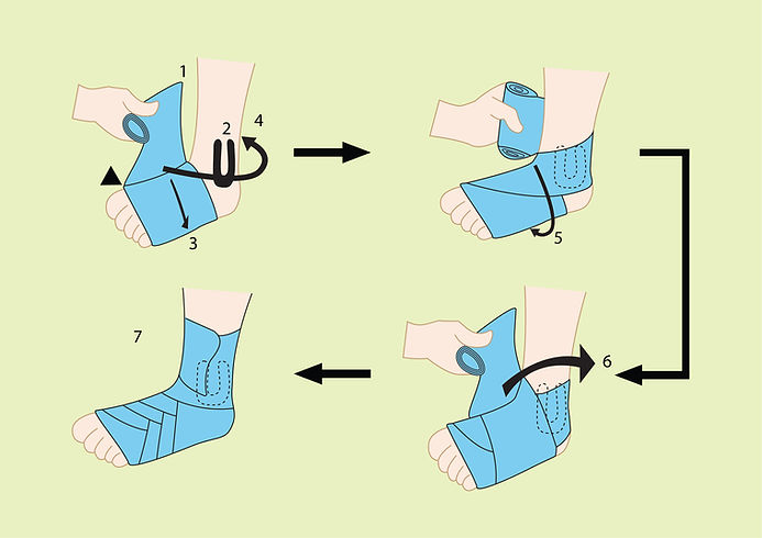 Joint and limb bandaging | Friends of PolarBear