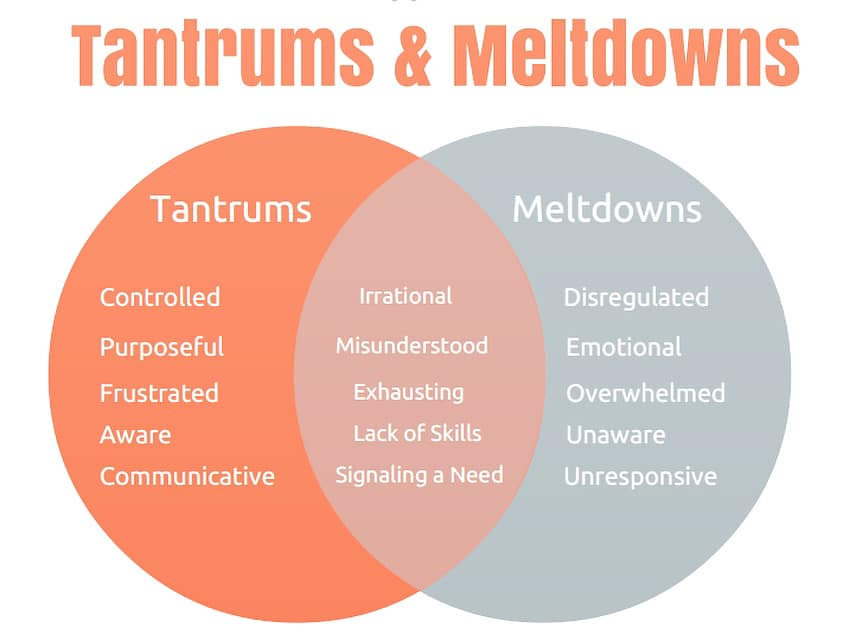 Tantrums and Meltdowns ... Do you know how they are different?