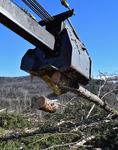 DELIMBER | Pro Pac Industries