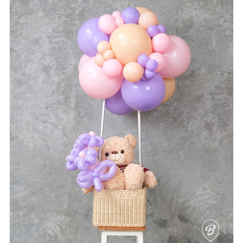 Small Marin Hot Air Balloon | Ballooney