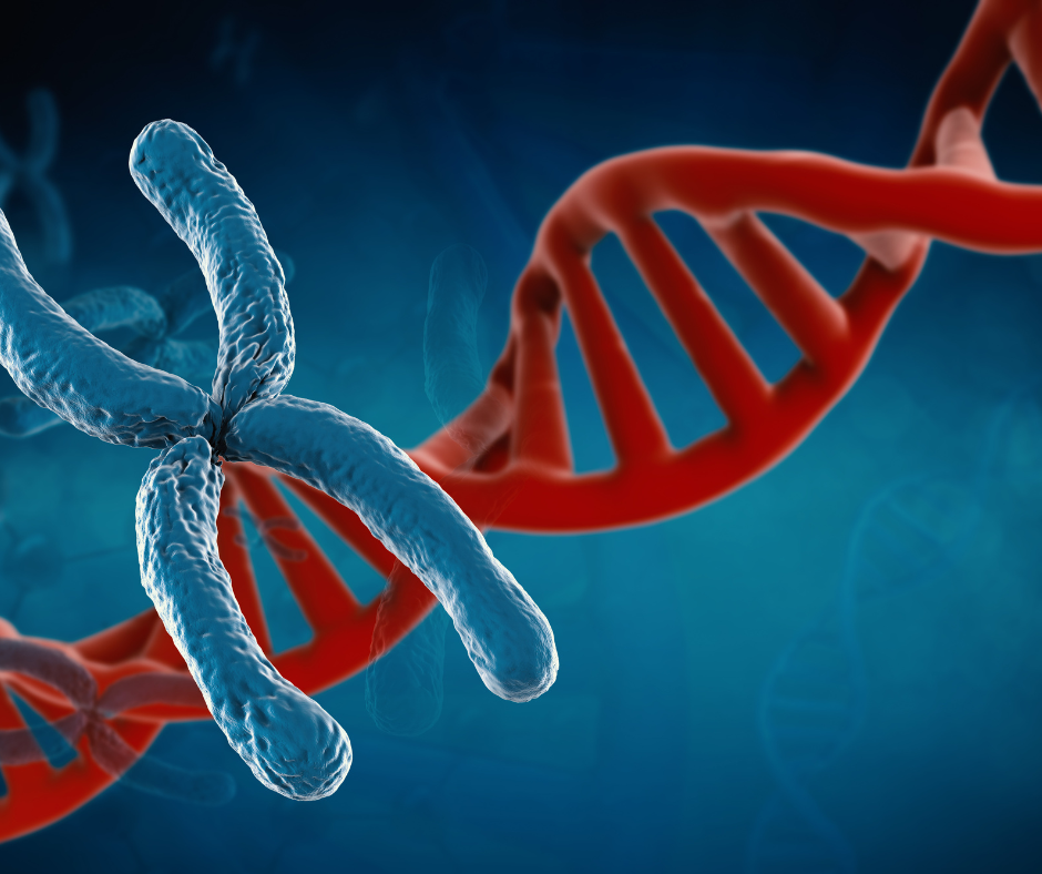 Blog #12: XCI (lyonization)