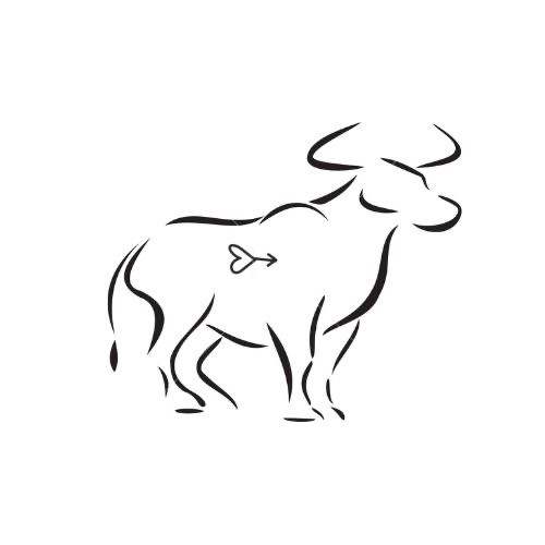 Unrendered Beef Tallow 5 pound package | Cooper Ranch Life