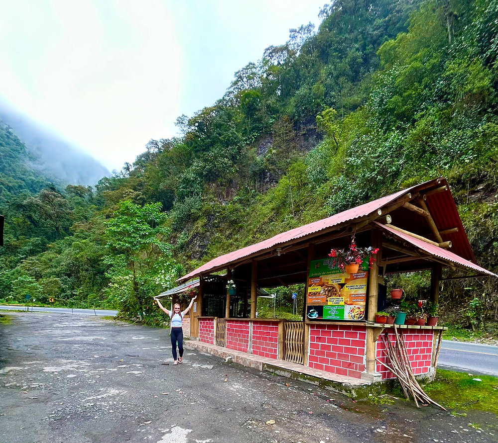 Welcome to the Jungle: Mindo Cloud Forest