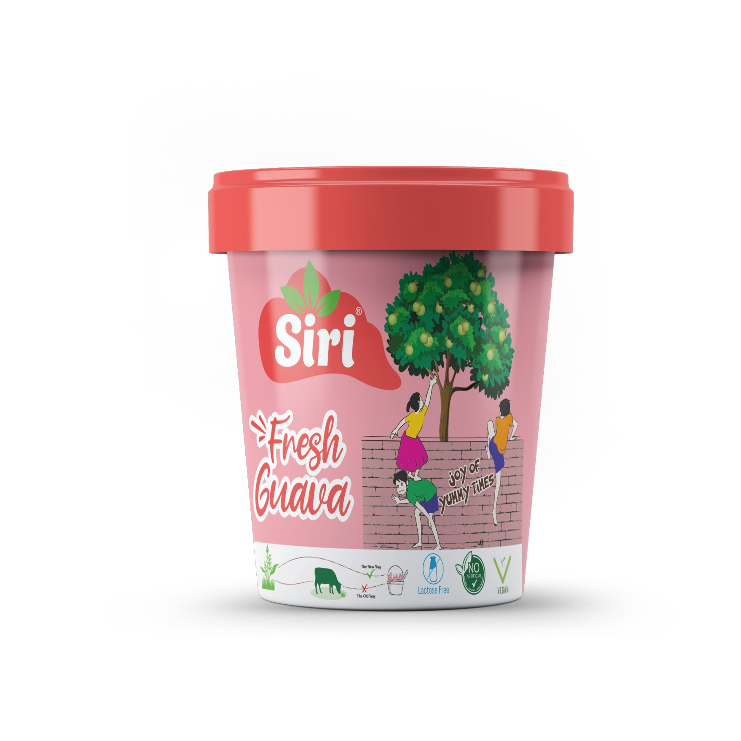 Non Dairy Ice Cream | Sirimillets