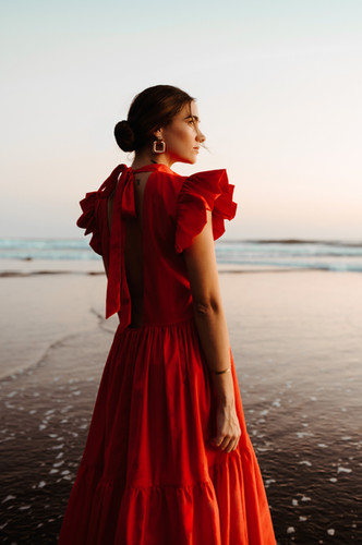 Ave del Sol | Alejandra Vargas