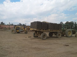 Home | ERMELO BRICKS