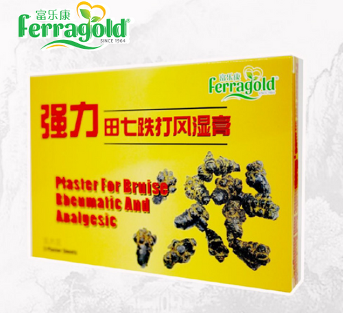 Plaster for Bruise Rheumatic And Analgesic (5 Sheets/Box) | Ferragold SG