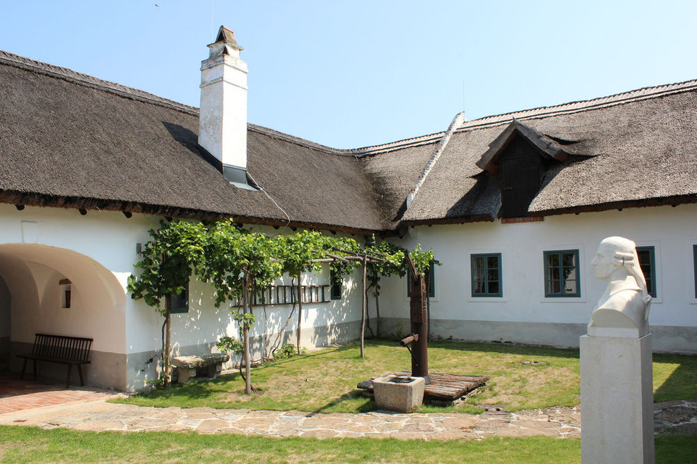 Papa Haydn – Father of the Symphony, the Sonata, and the String Quartet