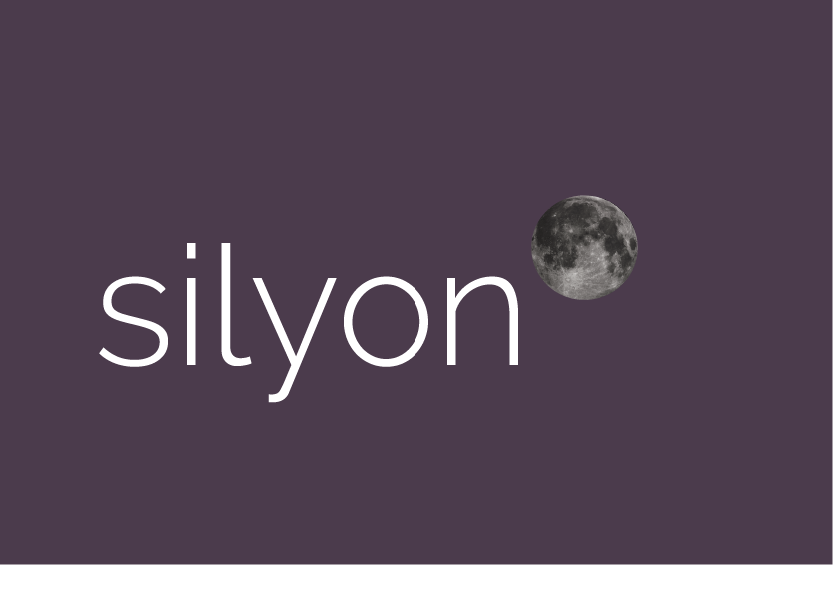 Silyon Consulting | Tax, Accounting and Financial Advisory Services