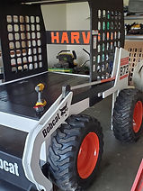 bobcat pics | My Site 2