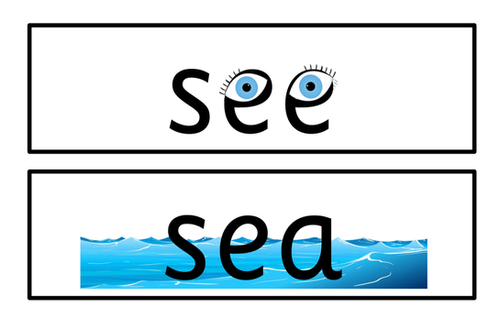 Homophone flash cards | On Track With Mr Mc