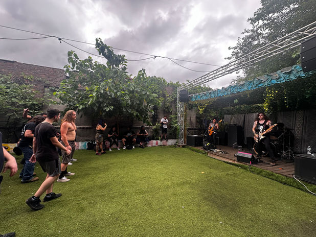 The Brooklyn Monarch | The Brooklyn Monarch