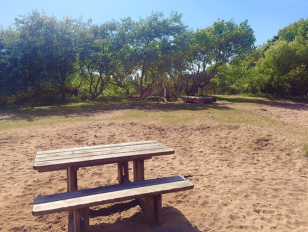 Family and barbeque area in the National Trust, Formby Point