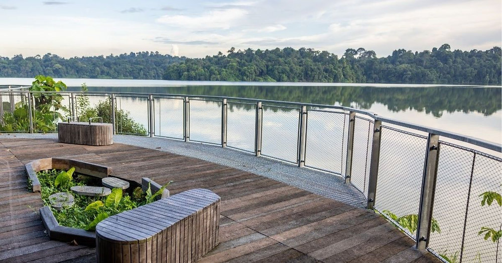 Everything You Need to Know About Visiting Mandai Boardwalk