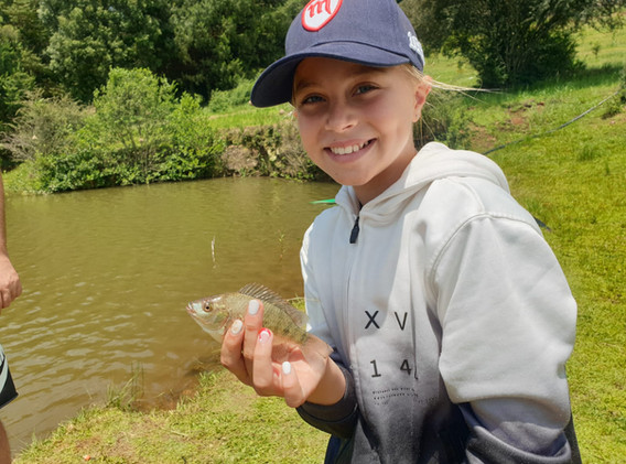 Gallery | Troutbagger Farm