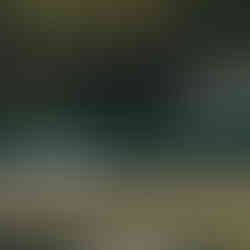 FORMULA 4 | maffiracing