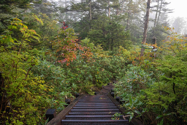 Mt. Hiuchi, Gunma | Hike Master Japan