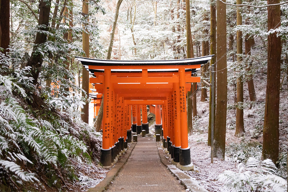 A Complete Guide To Fushimi Inari