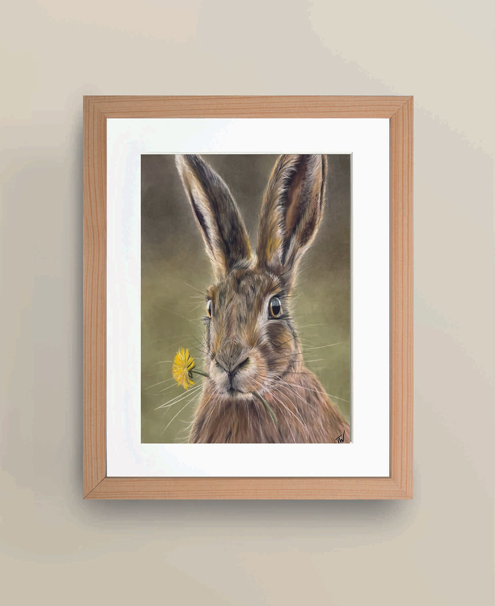 'Dandelion' A4 Limited Edition Print | Tracey Walder