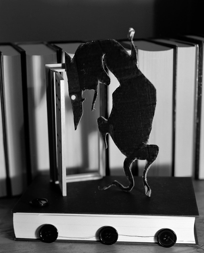 We Shredded Books on the Library Floor, by Neil Kennedy