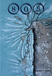 Issues | United States | 805 Lit + Art