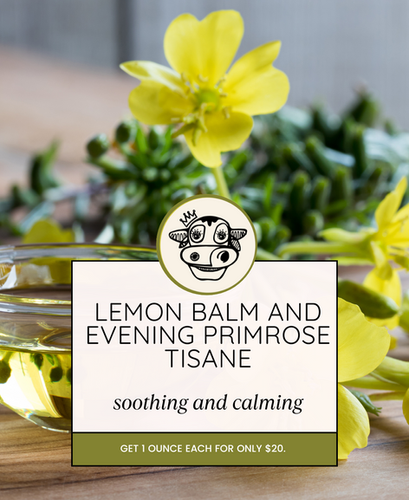 LEMON BALM + EVENING PRIMROSE FLOWER BUNDLE | Green Heffa Farms