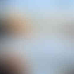 Radiant Detailing | Mobile Car Detailing Services