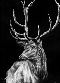 Home | April Reid Fine Art